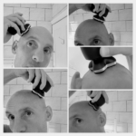 FlexSeries vs FlexSeries Pro - Which Is Best For You?